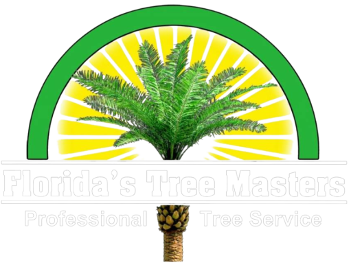 Top Port Orange Tree Services | Expert Tree Trimming & Removal