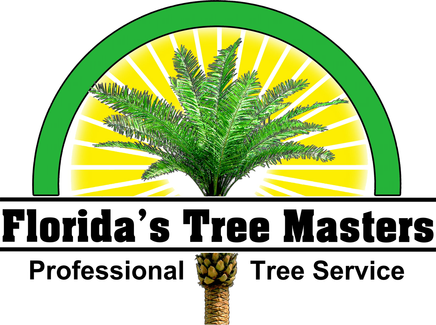 Tree Service Port Orange & Daytona Beach | FL Tree Masters