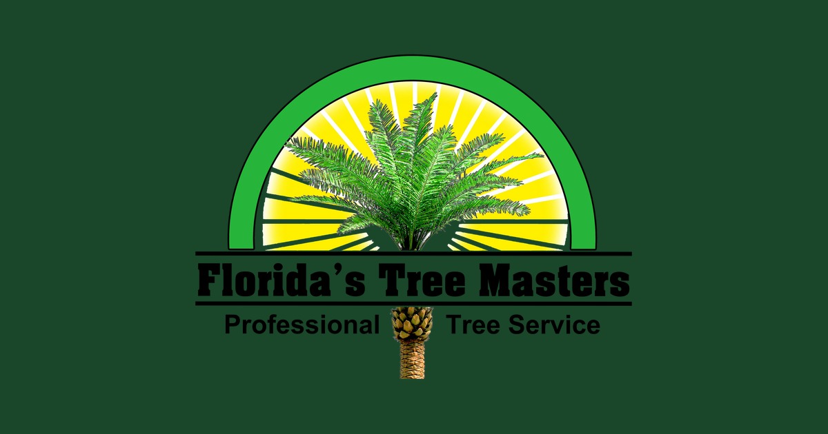 Hurricane Milton Tree Damage Volusia County | Lessons